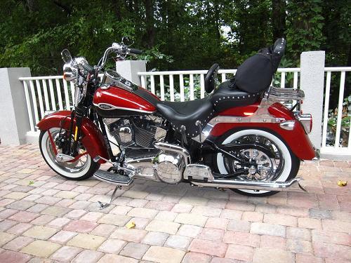 2006 Harley-Davidson® FLSTSC/I Softail® Springer® Classic for Sale in ...