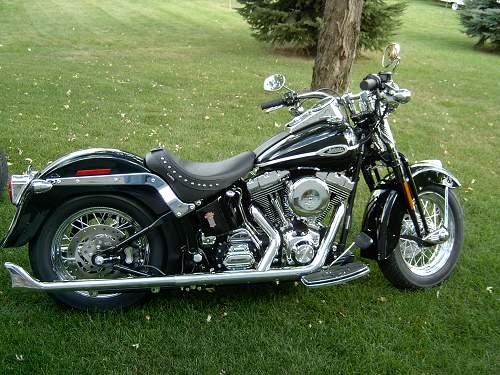 2005 Harley-Davidson® FLSTSC/I Softail® Springer® Classic for Sale in ...