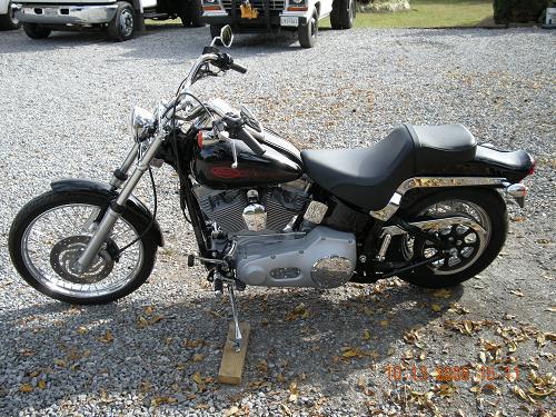 2005 Harley-Davidson® FXST/I Softail® Standard for Sale in Beltsville ...