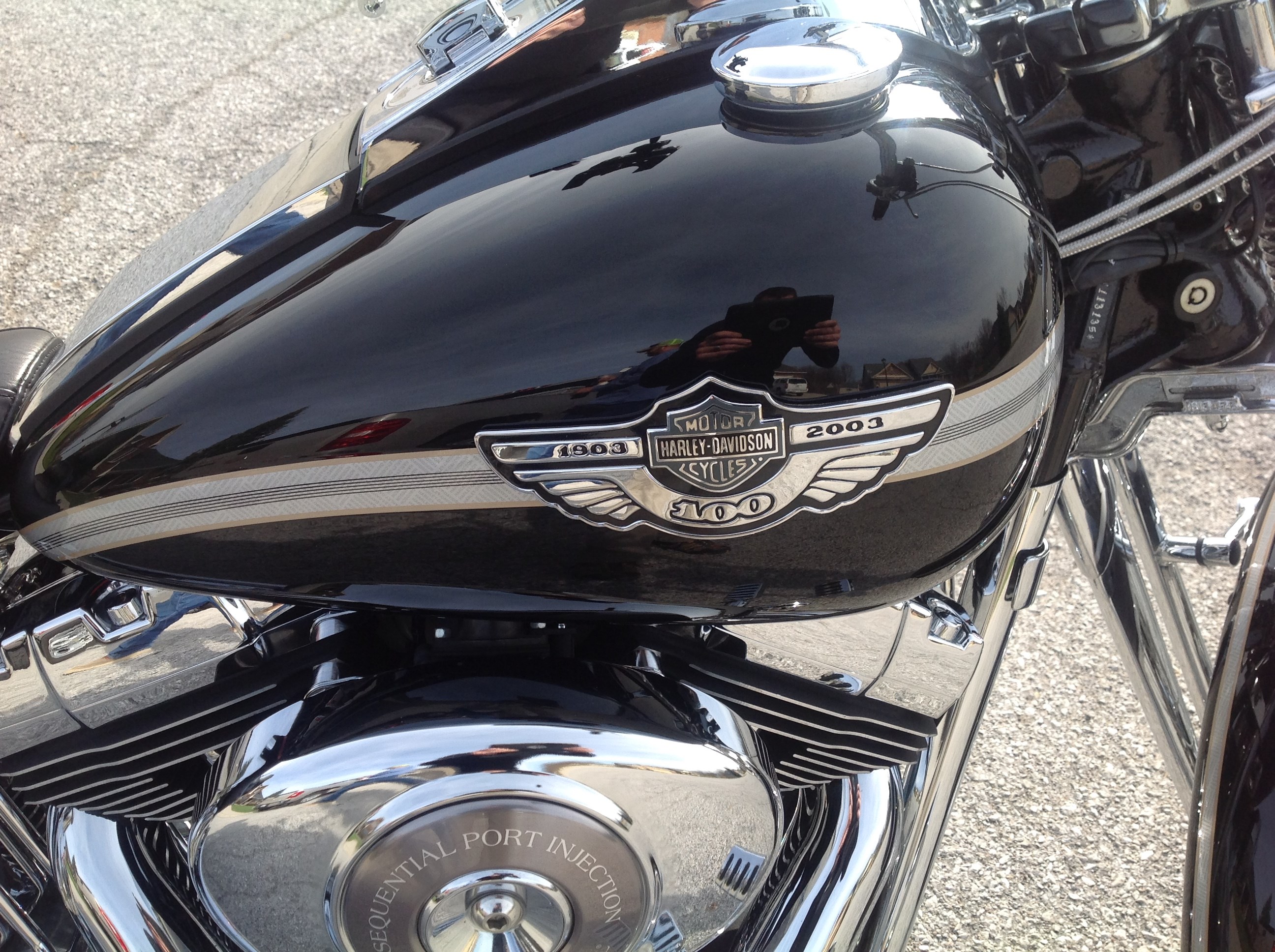 2003 Harley-Davidson® FXSTS/I Springer® Softail® for Sale in Greenwood ...