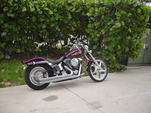1997 Harley-Davidson® FXSTC Softail® Custom for Sale in Naples, FL ...