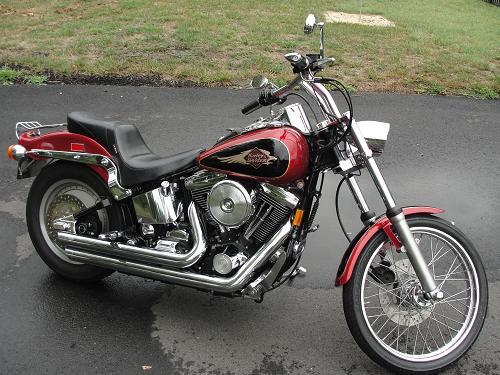 1998 Harley-Davidson® FXSTC Softail® Custom for Sale in Mount Royal, NJ ...