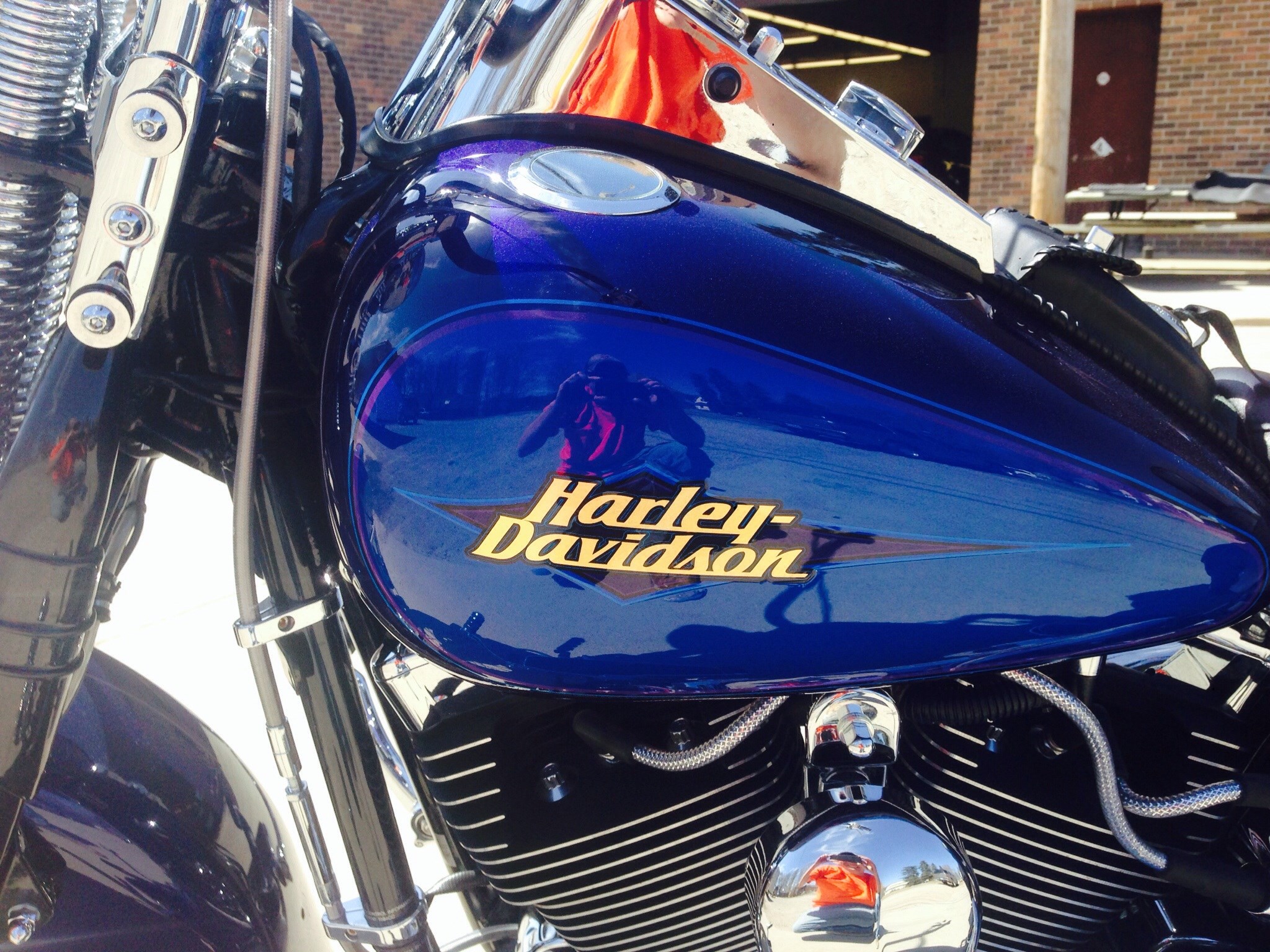 2007 Harley-Davidson® FXSTS Springer® Softail® for Sale in Sloan, IA ...