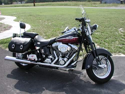 2005 Harley-Davidson® FLSTSC/I Softail® Springer® Classic for Sale in ...
