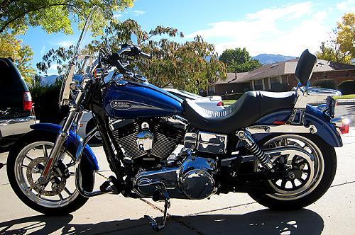 2008 Harley-Davidson® FXDL Dyna® Low Rider® for Sale in Albuquerque, NM ...