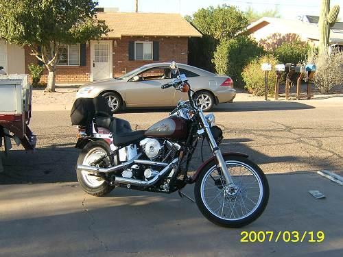 1997 Harley-Davidson® FXSTC Softail® Custom for Sale in Apache Junction ...