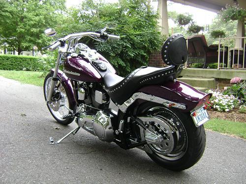 1998 Harley-Davidson® FXSTC Softail® Custom for Sale in Winston - Salem ...