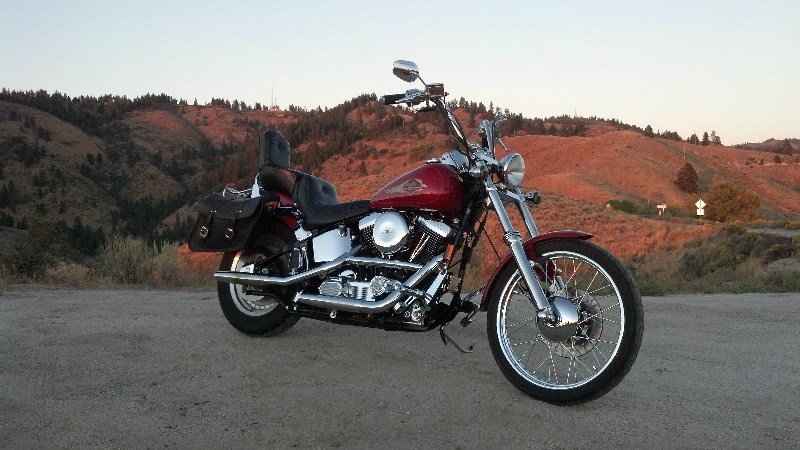1995 Harley-Davidson® FXSTC Softail® Custom for Sale in BOISE, ID (Item ...