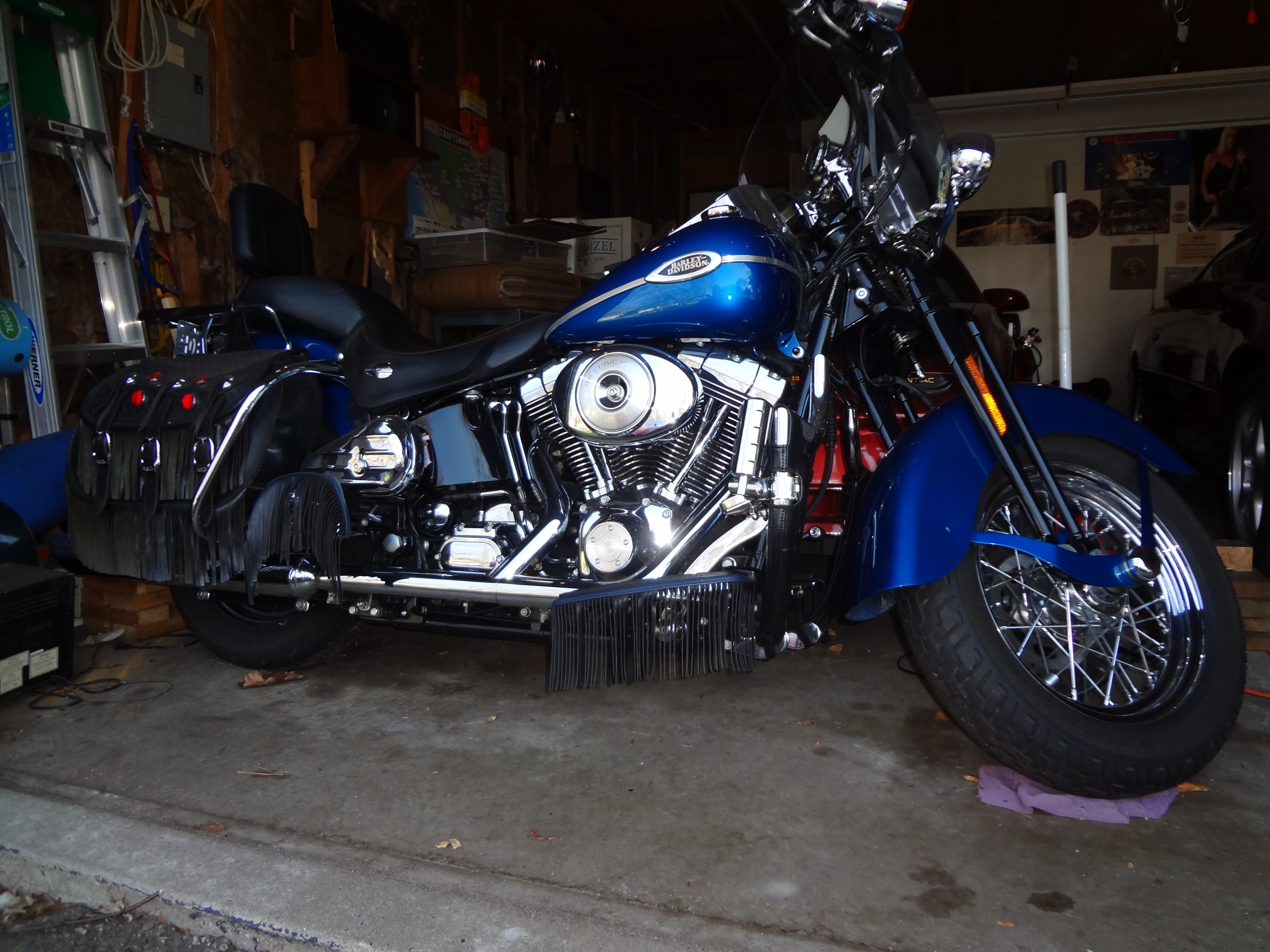 2005 Harley-Davidson® FLSTSC/I Softail® Springer® Classic for Sale in ...