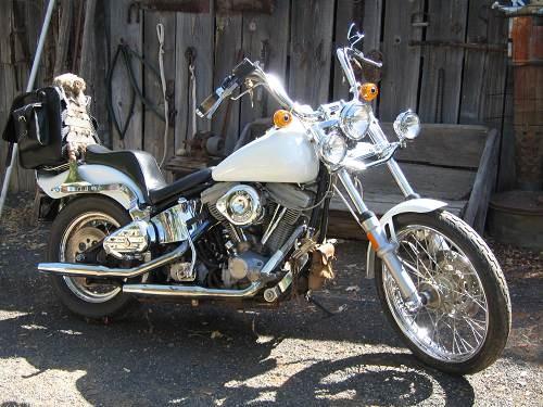 1984 Harley-Davidson® FXST Softail® for Sale in Moccasin, CA (Item 32135)