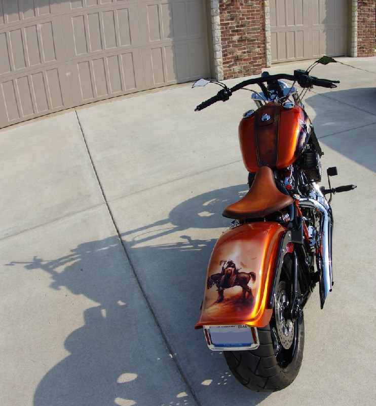 2006 Harley-Davidson® FXSTC Softail® Custom for Sale in Rantoul, IL ...
