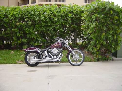 1997 Harley-Davidson® FXSTC Softail® Custom for Sale in Naples, FL ...