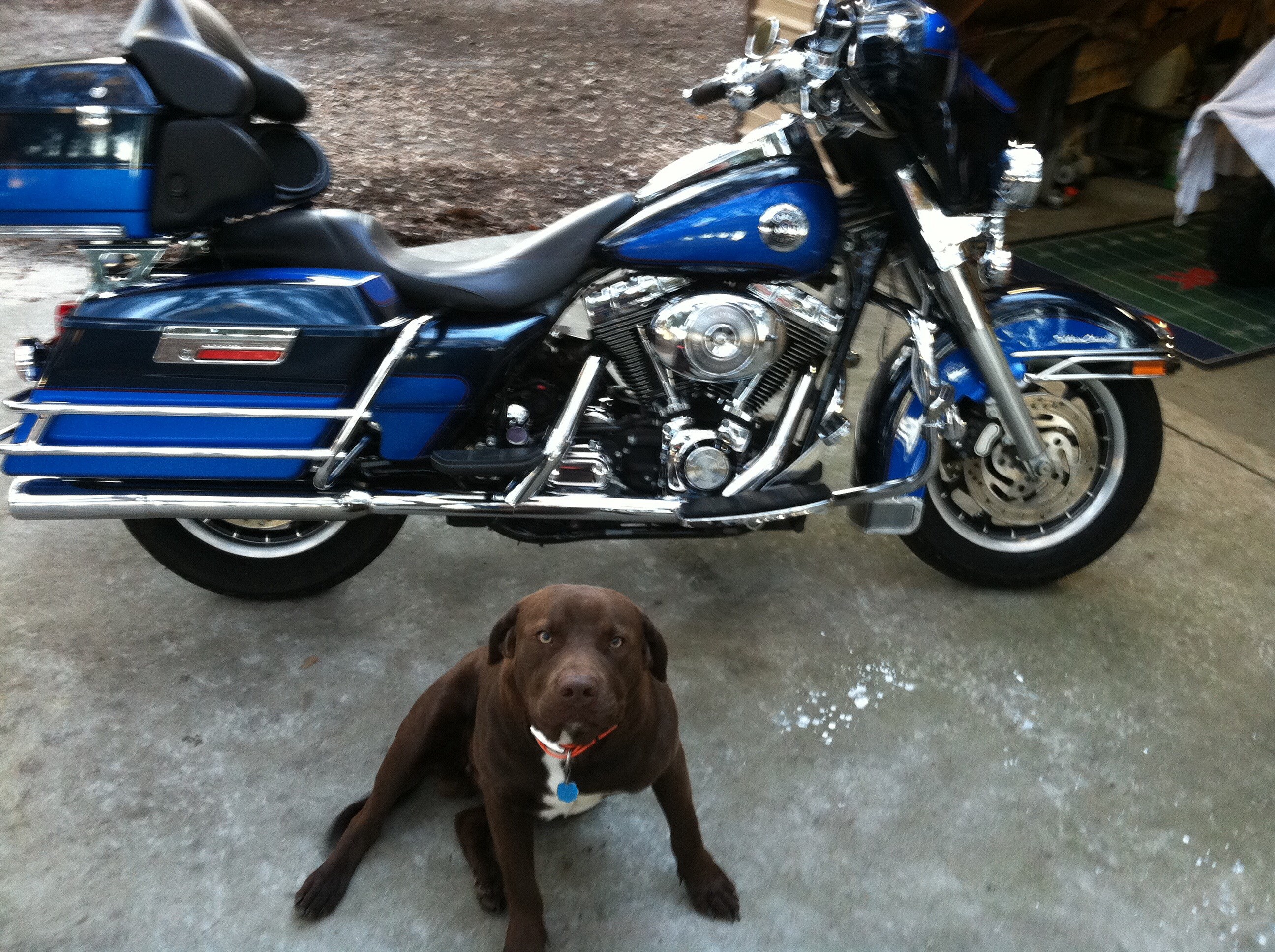 2004 Harley-Davidson® FLHTCU/I Ultra Classic® Electra Glide® for Sale ...