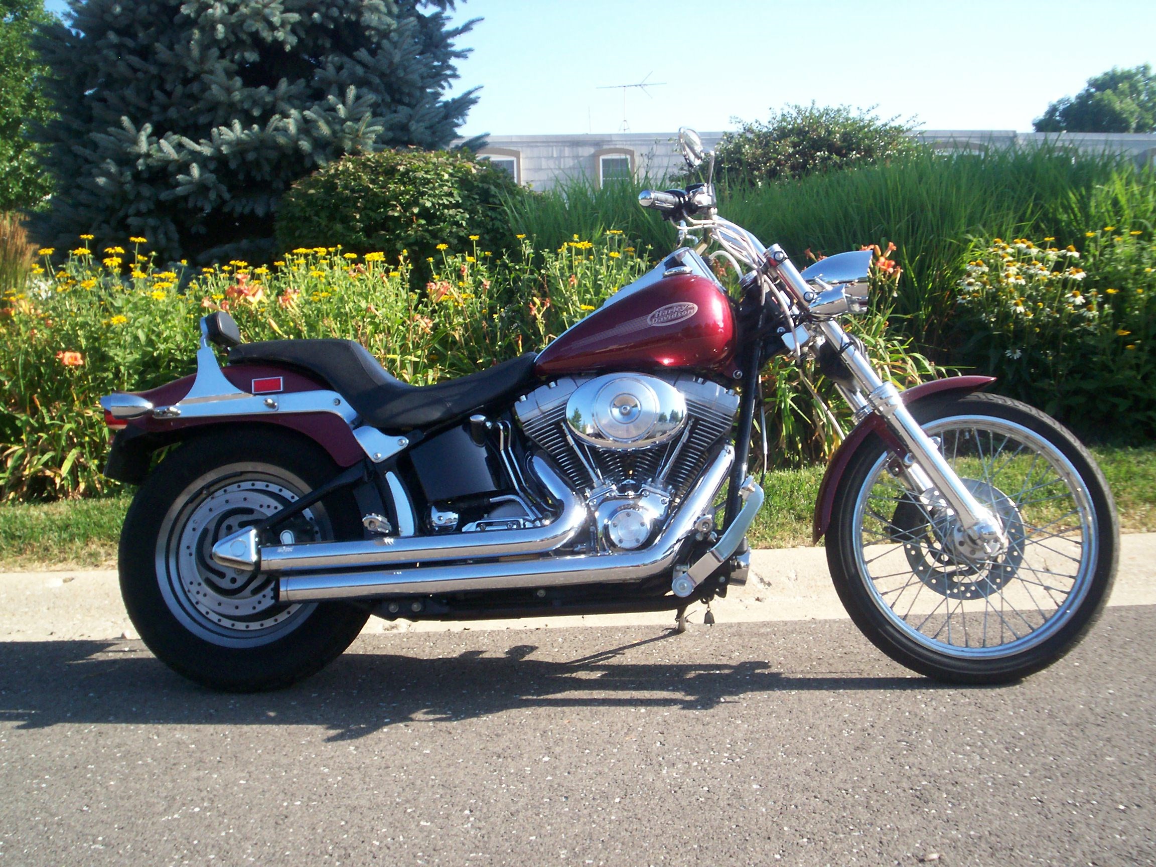 2001 Harley-Davidson® FXST/I Softail® Standard for Sale in Elk Grove ...