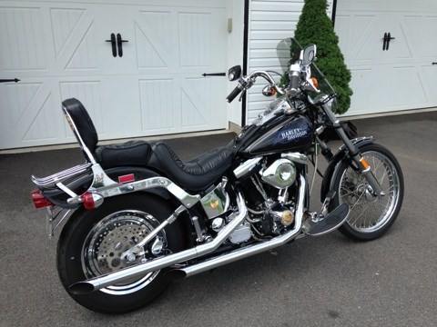 1987 Harley-Davidson® FXSTC Softail® Custom for Sale in Queenstown, MD ...