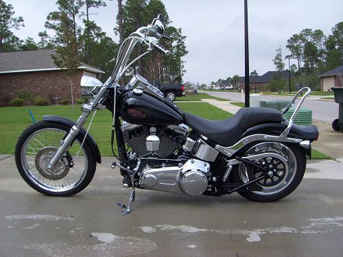 2008 Harley-Davidson® FXSTC Softail® Custom for Sale in Gulf Breeze, FL ...