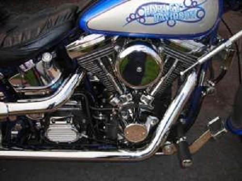 1987 Harley-Davidson® FXSTC Softail® Custom for Sale in Clifton, NJ ...