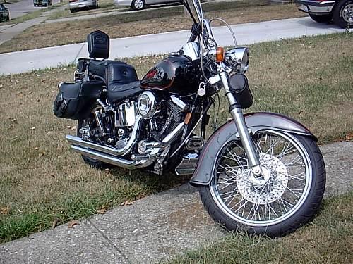 1994 Harley-Davidson® FXSTC Softail® Custom for Sale in hamilton, OH ...