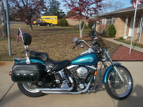 1994 Harley-Davidson® FXSTC Softail® Custom for Sale in Crestview, FL ...