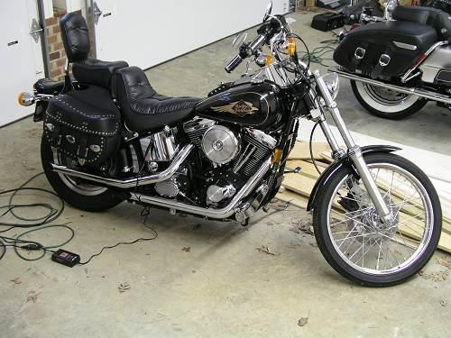 1998 Harley-Davidson® FXSTC Softail® Custom for Sale in Raleigh, NC ...