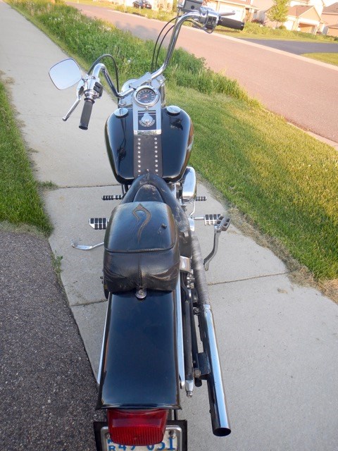 1985 Harley-Davidson® FXST Softail® for Sale in Chanhassen, MN (Item ...