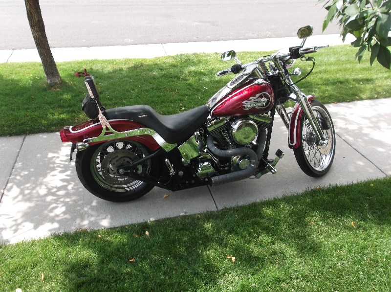2002 Harley-Davidson® FXSTS/I Springer® Softail® for Sale in Aurora, CO ...