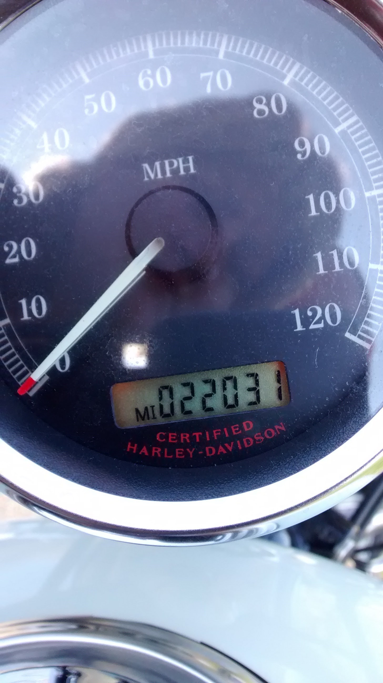 2006 Harley-Davidson® XL1200C Sportster® 1200 Custom for Sale in Honey ...