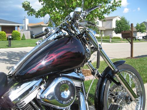 1994 Harley-Davidson® FXSTC Softail® Custom for Sale in Plainfield, IL ...