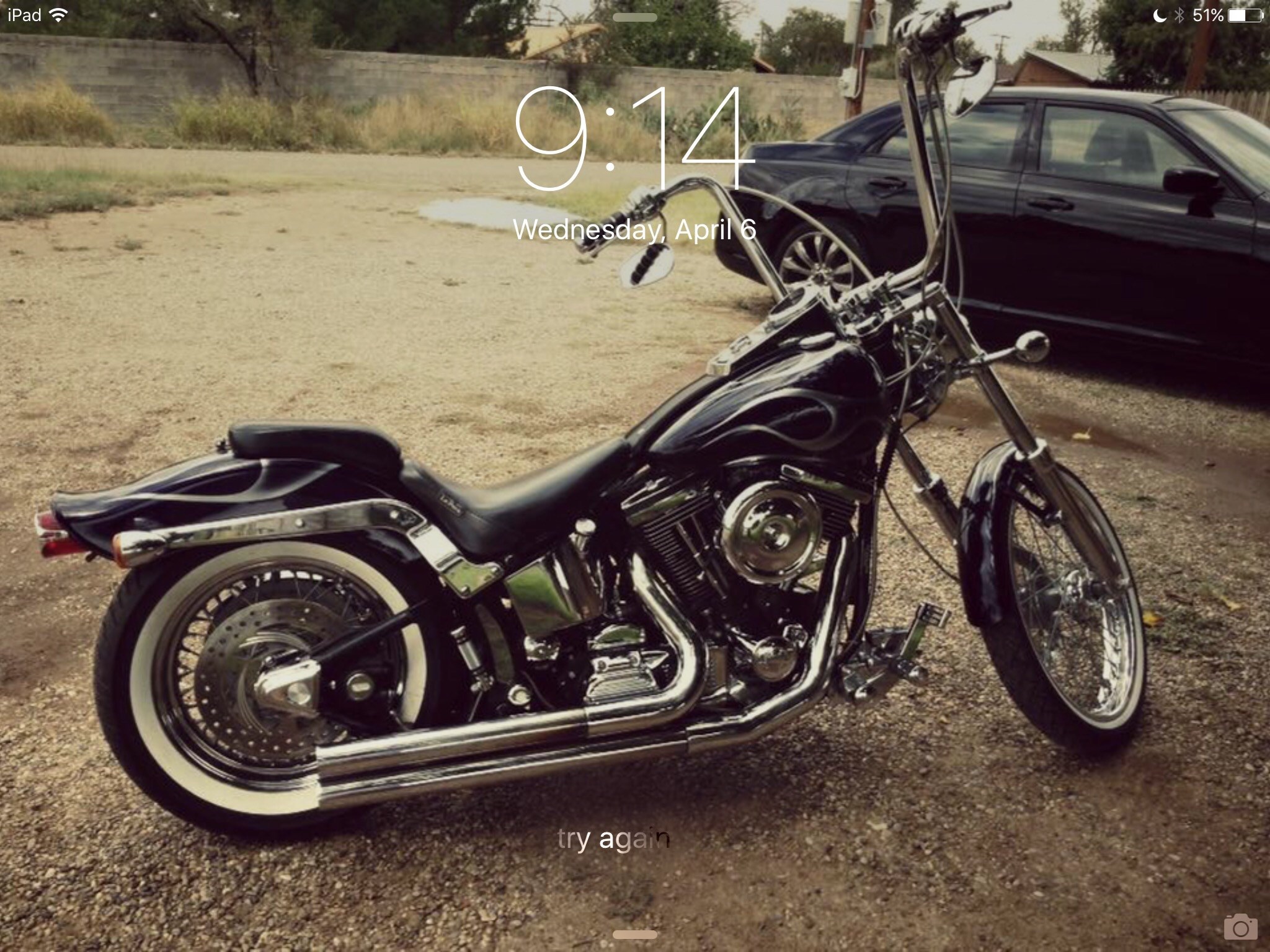 1998 Harley-Davidson® FXST Softail® Standard for Sale in Alpine, TX ...