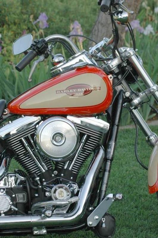 1996 Harley-Davidson® FXDL Dyna® Low Rider® for Sale in Anderson, CA ...