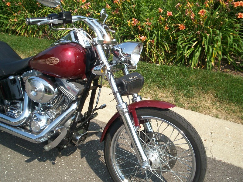 2001 Harley-Davidson® FXST/I Softail® Standard for Sale in Elk Grove ...