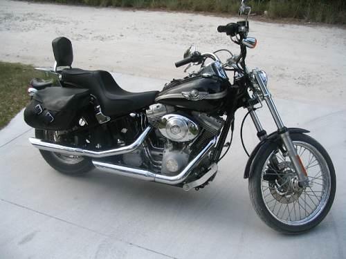 2003 Harley-Davidson® FXST/I Softail® Standard for Sale in Walsenburg ...
