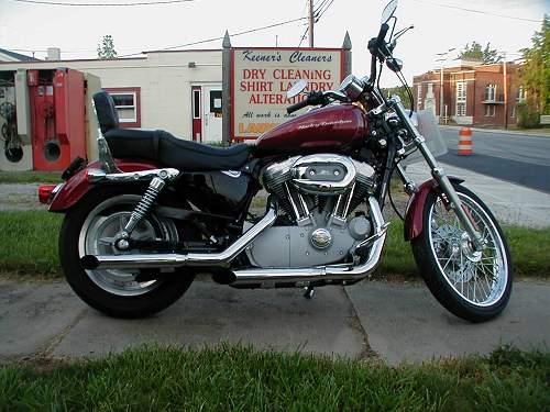 2006 Harley-Davidson® XL883C Sportster® 883 Custom for Sale in Mentor ...