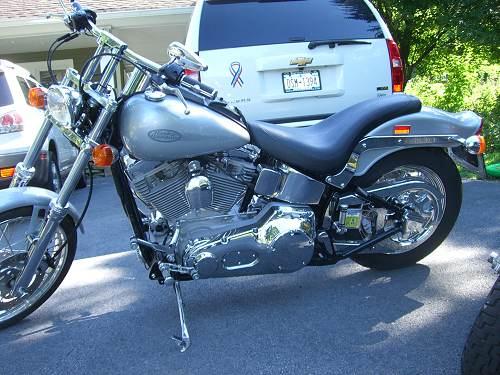 2001 Harley-Davidson® FXST/I Softail® Standard for Sale in monroe, NY ...