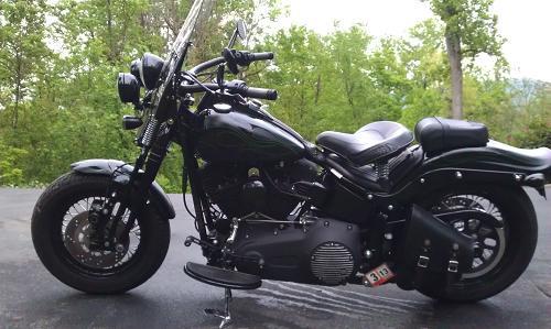 2008 Harley-Davidson® FLSTSB Softail® Cross Bones® for Sale in Front ...