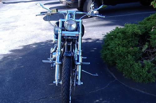 1990 Harley-Davidson® FXSTC Softail® Custom for Sale in Stamford, CT ...