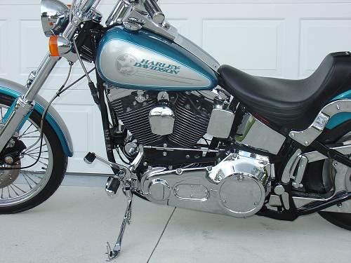 1994 Harley-Davidson® FXSTC Softail® Custom for Sale in Parrish, FL ...