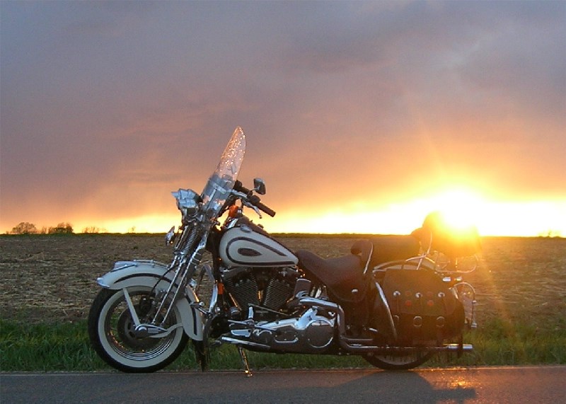 1997 Harley-Davidson® FLSTS Heritage Springer® for Sale in Mosinee, WI ...