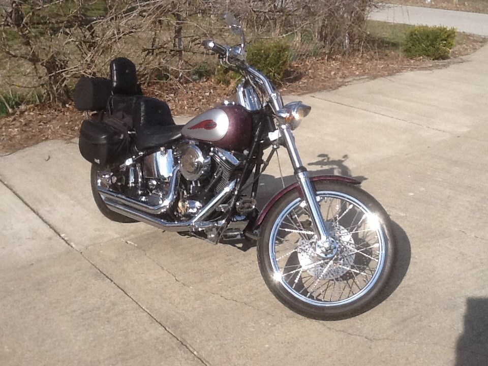 1999 Harley-Davidson® FXSTC Softail® Custom for Sale in Frankfort, KY ...