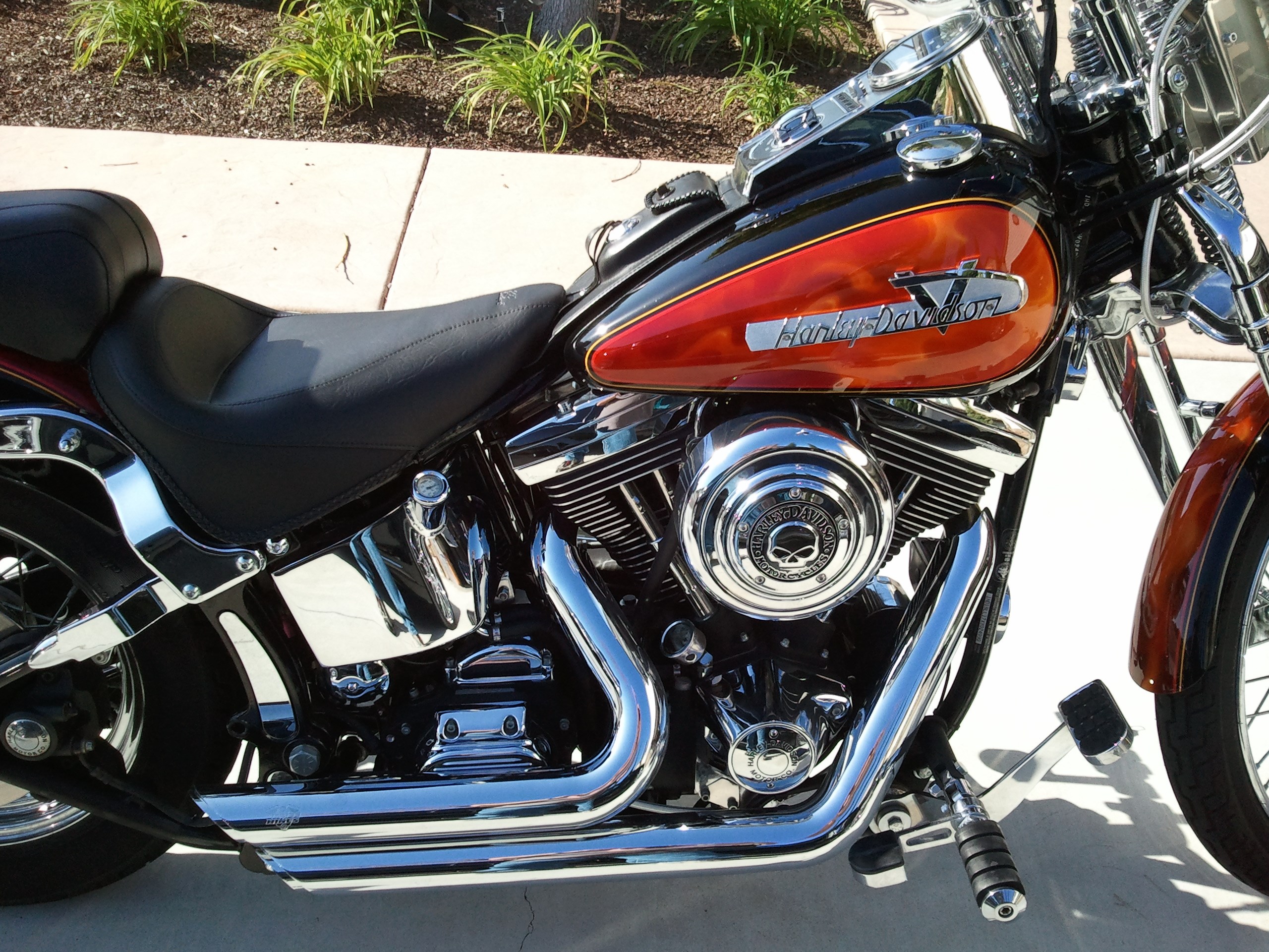1999 Harley-Davidson® FXSTS Springer® Softail® for Sale in San Marcos ...