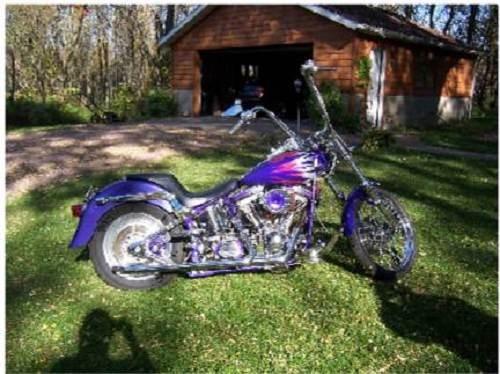 1987 Harley-Davidson® FXSTC Softail® Custom for Sale in Neillsville, WI ...