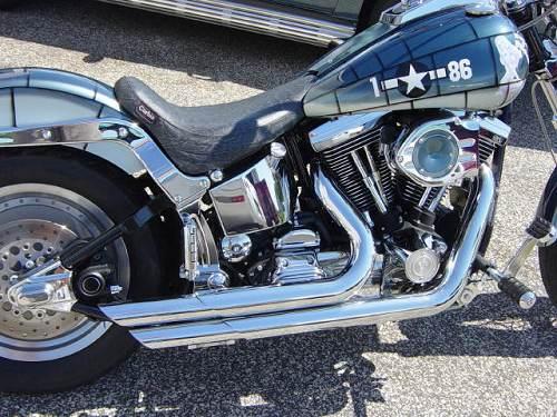 1998 Harley-Davidson® FXSTC Softail® Custom for Sale in Vineland, NJ ...