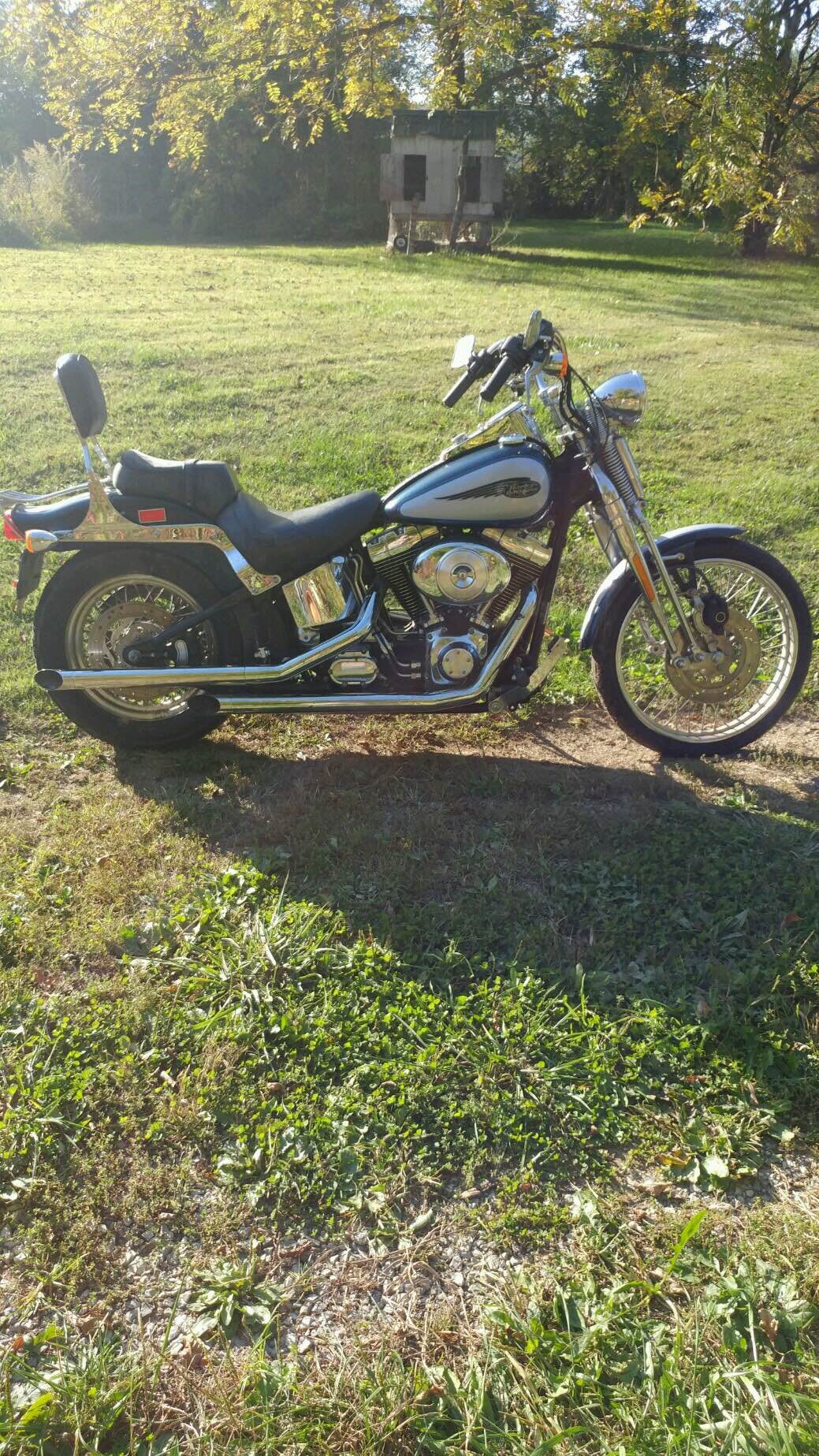 2002 Harley-Davidson® FXSTS/I Springer® Softail® for Sale in ...
