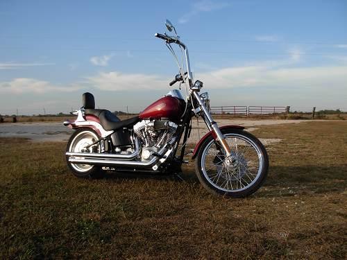 2006 Harley-Davidson® FXST/I Softail® Standard for Sale in Rio Rancho ...