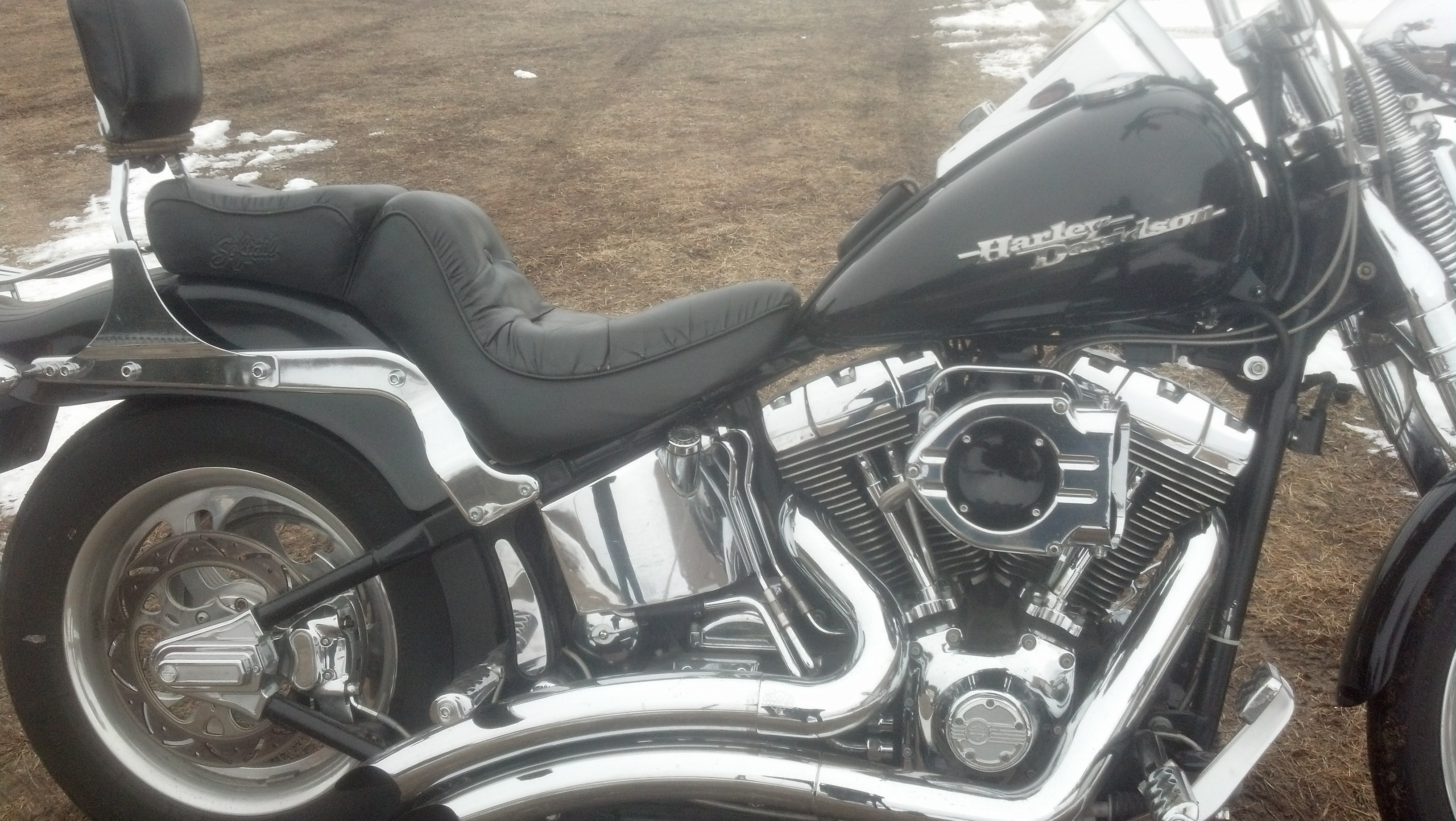 2002 Harley-Davidson® FXSTS/I Springer® Softail® for Sale in Lakeview ...