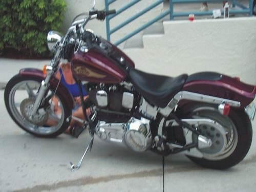 1997 Harley-Davidson® FXSTC Softail® Custom for Sale in Naples, FL ...