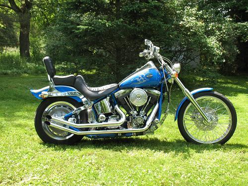 1987 Harley-Davidson® FXSTC Softail® Custom for Sale in Lyme, NH (Item ...