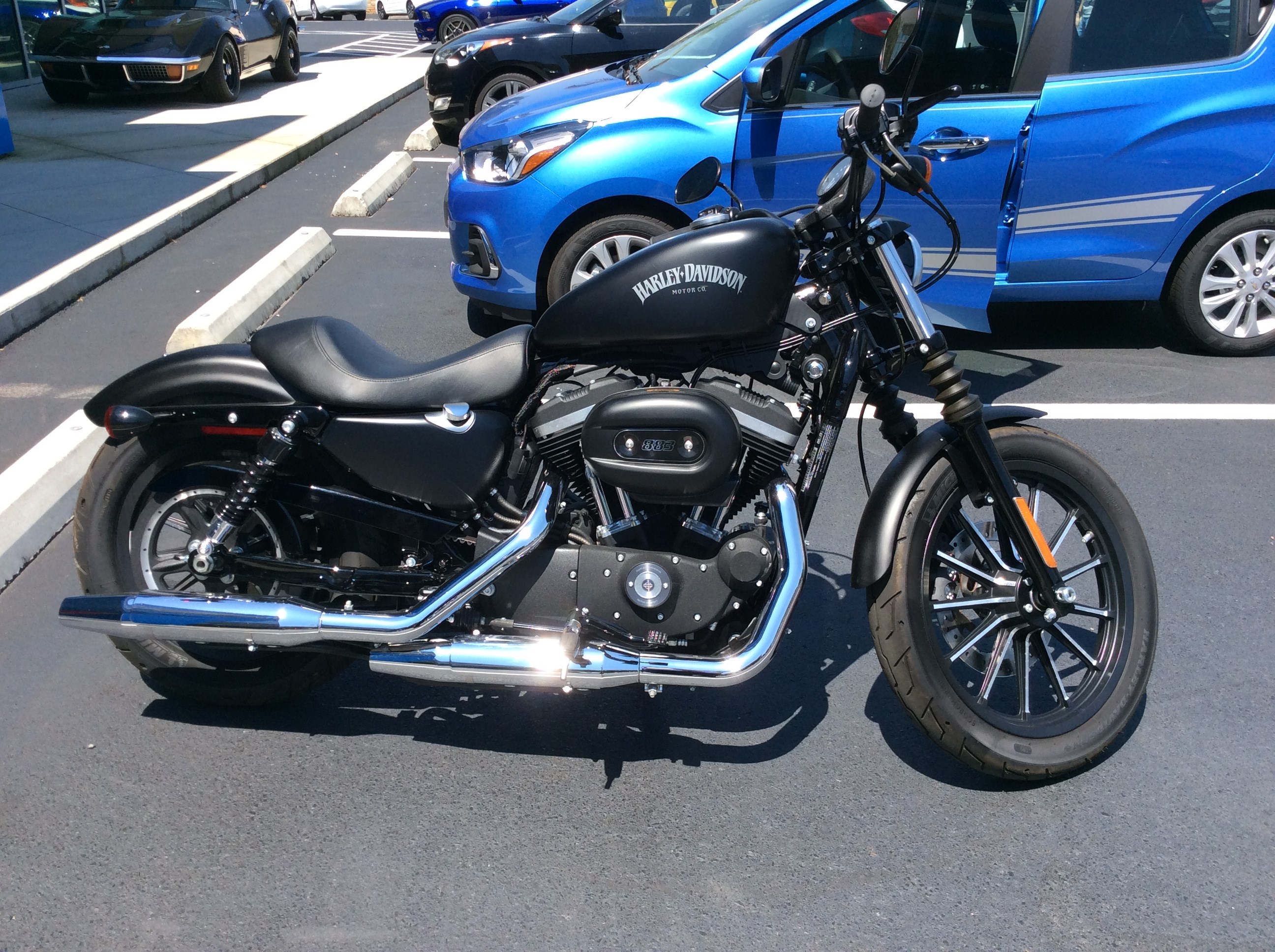 2015 Harley-Davidson® XL883L Sportster® SuperLow® for Sale in MILTON ...