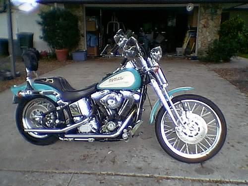 1992 Harley-Davidson® FXSTS Softail® Springer® for Sale in Altamonte ...