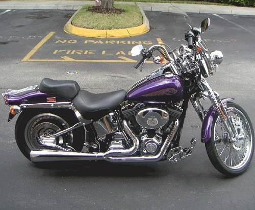 2001 Harley-Davidson® FXSTS/I Springer® Softail® for Sale in Altamonte ...